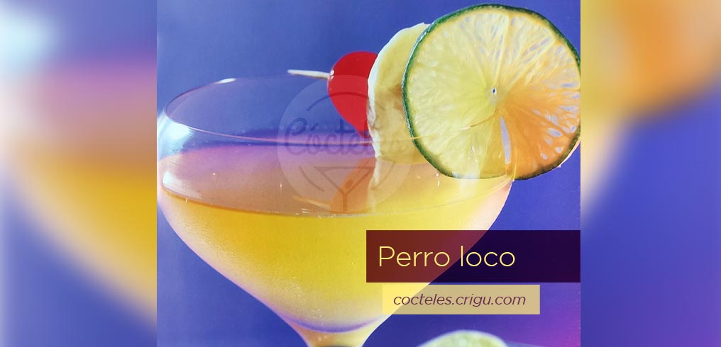 Cóctel Perro loco: te enseñamos a prepararlo con receta y fotos